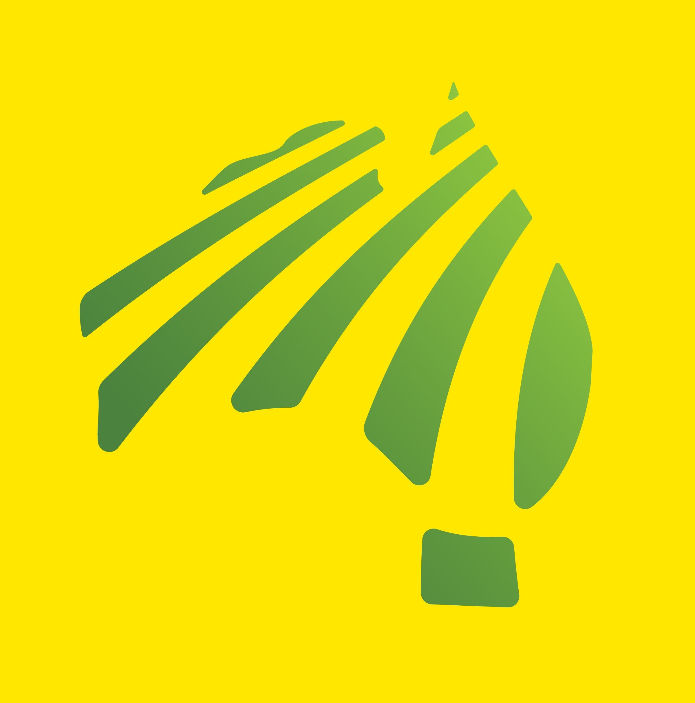 Selective Herbicides – The Aussie Lawn